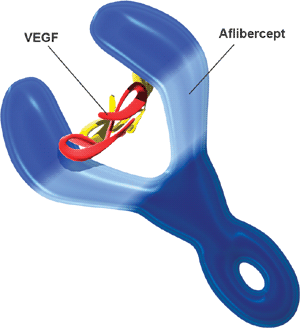Aflibercept Approved for Colon Cancer Treatment - The Doctor's Channel